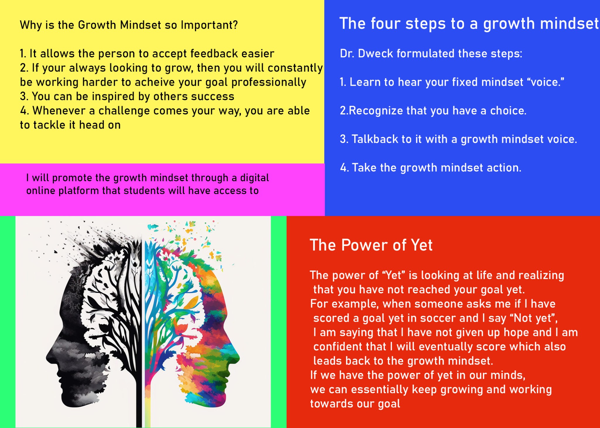 Impact of a Growth Mindset Plan – It's Not Just About Ideas